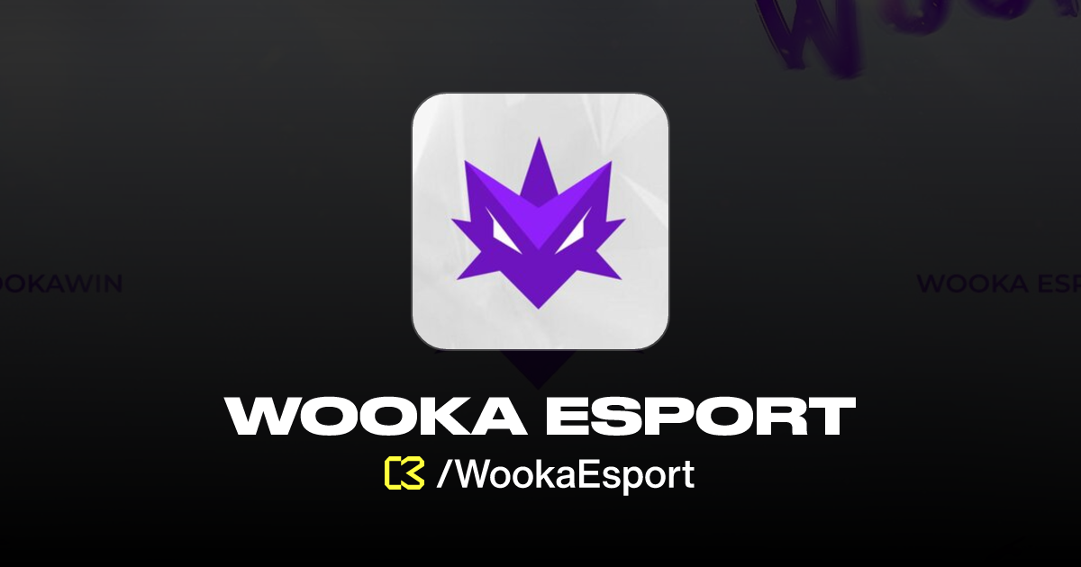 Wooka Esport | Konect